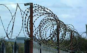 Razor Wire : Concertina Razor Wire, Cross Type Razor Wire